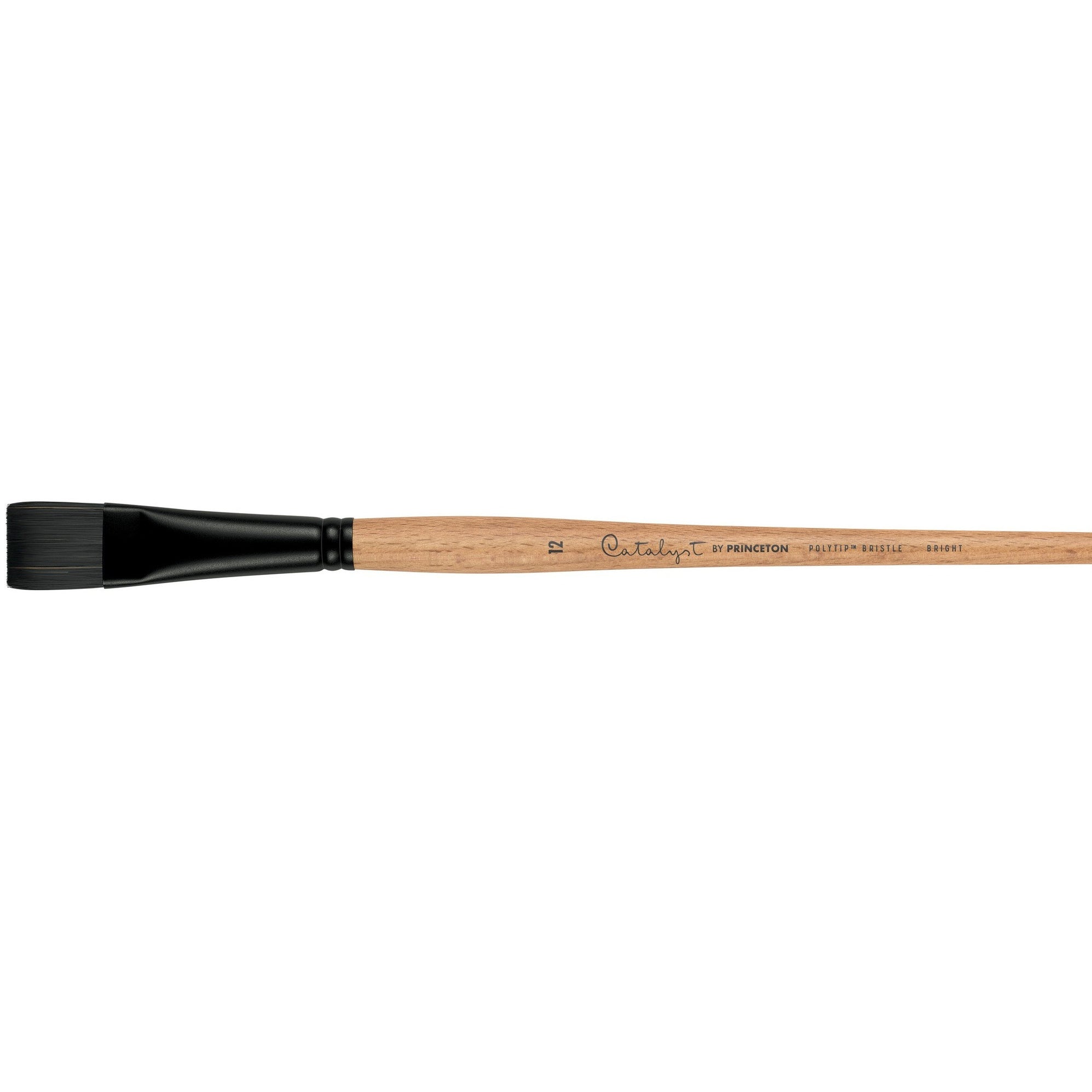 Princeton 6400 Catalyst Polytip Bristle Brushes - Long Handle — Wallack ...
